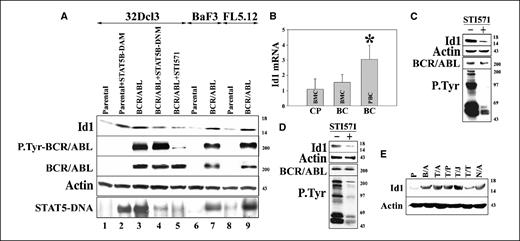 Id1 Transcription Inhibitor–Matrix Metalloproteinase 9 Axis Enhances ...
