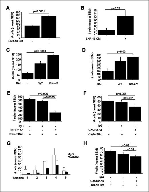 High Expression of Ligands for Chemokine Receptor CXCR2 in Alveolar ...