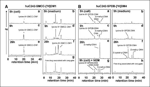 Antibody-Maytansinoid Conjugates Are Activated in Targeted Cancer Cells ...