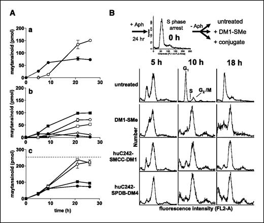 Antibody-Maytansinoid Conjugates Are Activated in Targeted Cancer Cells ...
