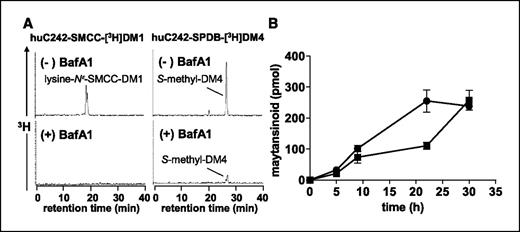 Antibody-Maytansinoid Conjugates Are Activated in Targeted Cancer Cells ...