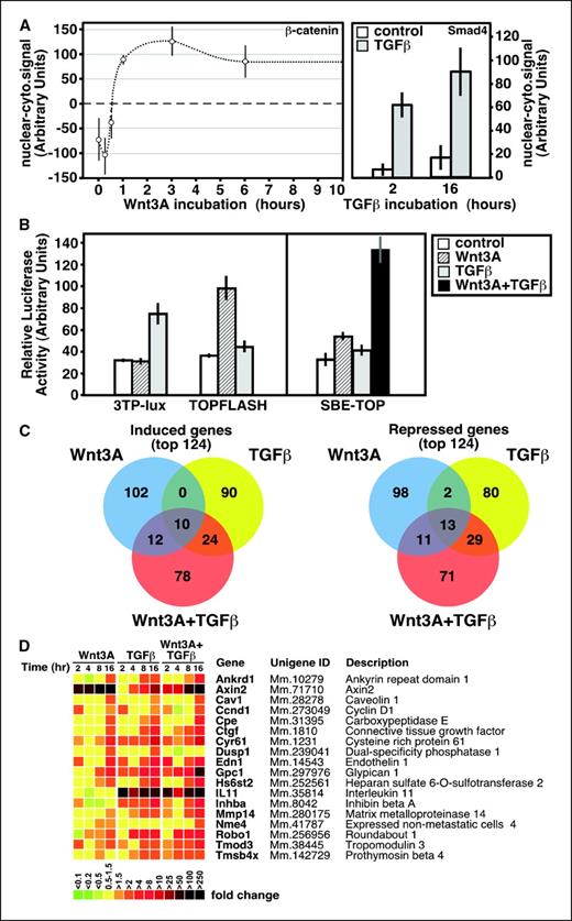 Transcriptional Cooperation between the Transforming Growth Factor-β ...