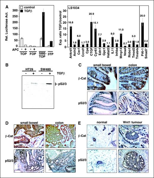 Transcriptional Cooperation between the Transforming Growth Factor-β ...
