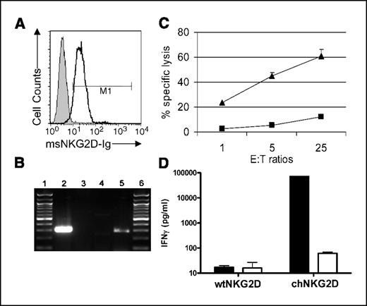 Chimeric NKG2D Receptor–Bearing T Cells as Immunotherapy for Ovarian ...