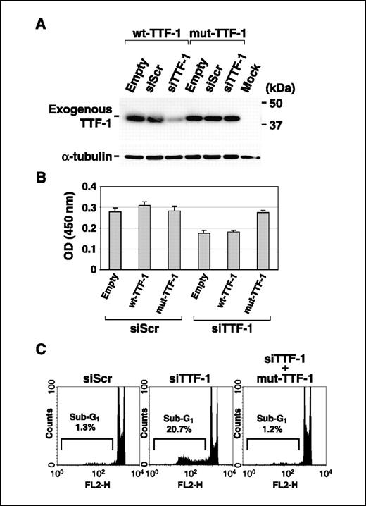 Lineage-Specific Dependency of Lung Adenocarcinomas on the Lung ...