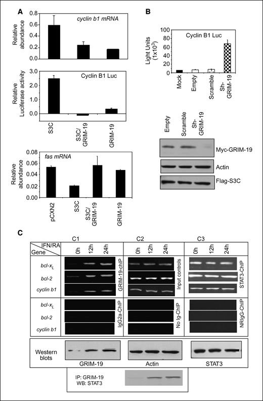 Tumor-Suppressive Activity of the Cell Death Activator GRIM-19 on a ...