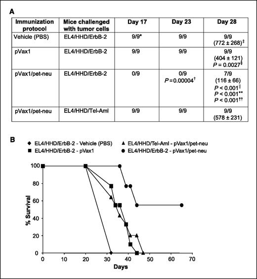 A Polyepitope DNA Vaccine Targeted to Her-2/ErbB-2 Elicits a Broad ...