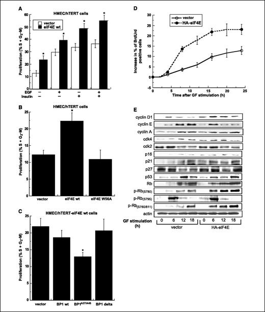 Eukaryotic Translation Initiation Factor 4E–Induced Progression of ...