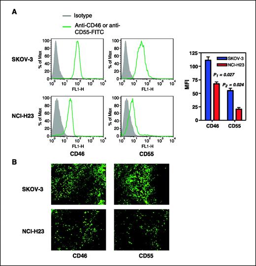 Combined Yeast β-Glucan and Antitumor Monoclonal Antibody Therapy ...