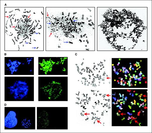 Mitotic Cell Death by Chromosome Fragmentation | Cancer Research ...