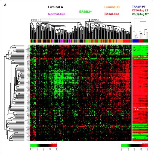 Identification of an Integrated SV40 T/t-Antigen Cancer Signature in ...