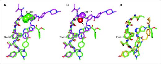 Crystal Structure of the T315I Abl Mutant in Complex with the Aurora ...