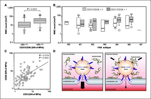 The Role of Platelet/Endothelial Cell Adhesion Molecule–1 (CD31) and ...