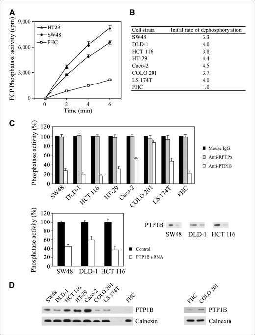 PTP1B Contributes to the Oncogenic Properties of Colon Cancer Cells ...