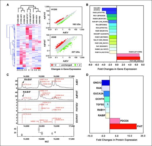 Fragile Histidine Triad–Mediated Tumor Suppression of Lung Cancer by ...