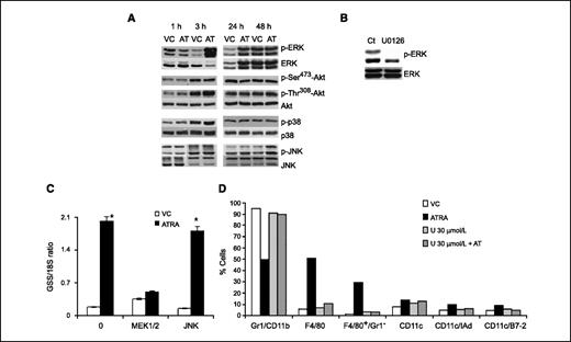 Mechanism of All-Trans Retinoic Acid Effect on Tumor-Associated Myeloid ...
