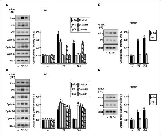 G Protein–Coupled Receptor 30 (GPR30) Mediates Gene Expression Changes ...