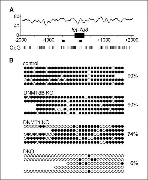 The Human let-7a-3 Locus Contains an Epigenetically Regulated MicroRNA ...