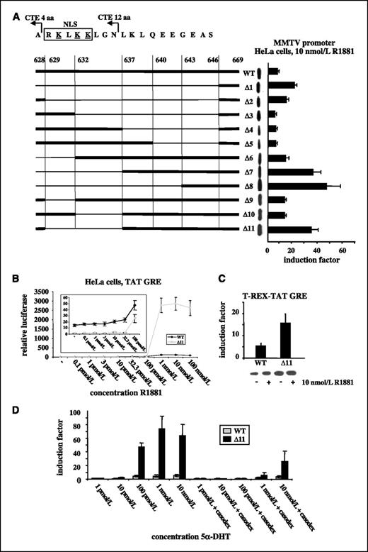 The Hinge Region Regulates DNA Binding, Nuclear Translocation, and ...