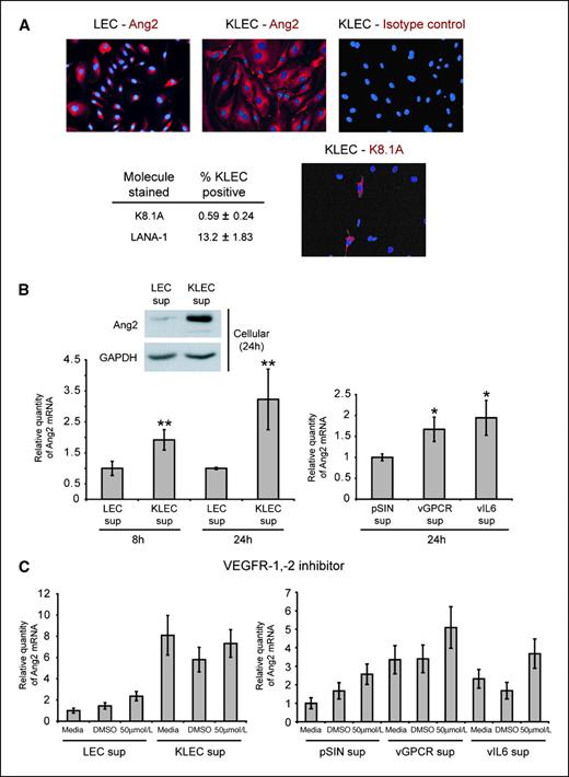 Kaposi's Sarcoma–Associated Herpesvirus-Encoded Interleukin-6 and G ...