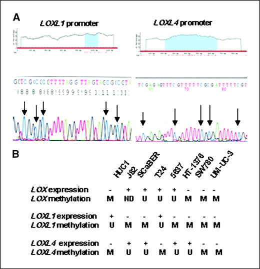 LOXL1 and LOXL4 Are Epigenetically Silenced and Can Inhibit Ras ...