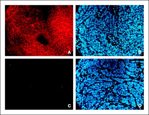Preclinical Evaluation of EC145, a Folate-Vinca Alkaloid Conjugate ...