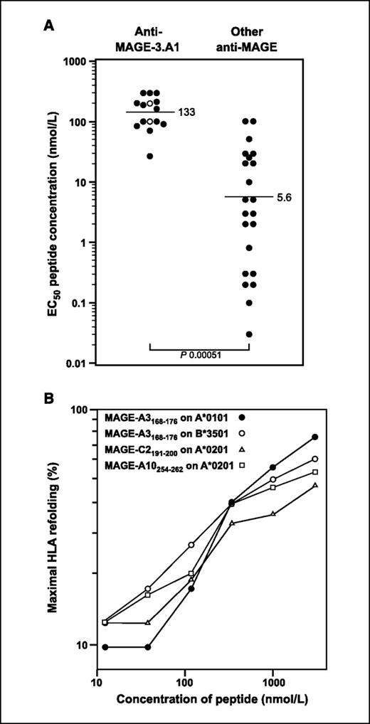 Functions of Anti-MAGE T-Cells Induced in Melanoma Patients under ...