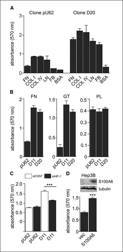 Cells Silenced for SDHB Expression Display Characteristic Features of ...