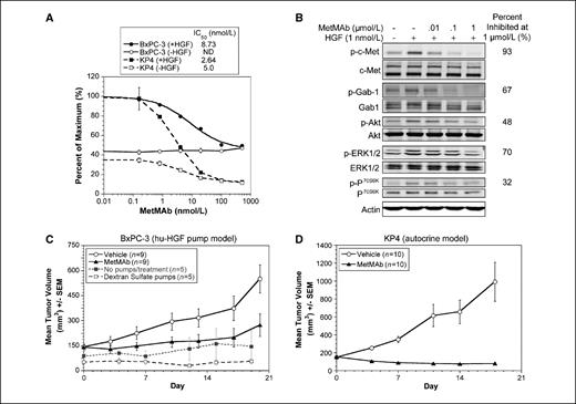MetMAb, the One-Armed 5D5 Anti-c-Met Antibody, Inhibits Orthotopic ...