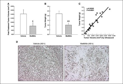 MetMAb, the One-Armed 5D5 Anti-c-Met Antibody, Inhibits Orthotopic ...