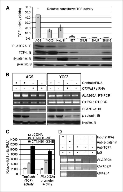 Inhibition of Gastric Cancer Invasion and Metastasis by PLA2G2A, a Novel β-Catenin/TCF Target ...