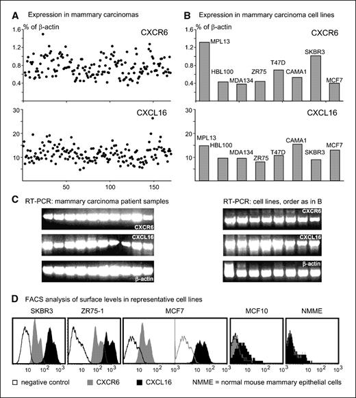 The Chemokine Receptor CXCR6 and Its Ligand CXCL16 Are Expressed in ...