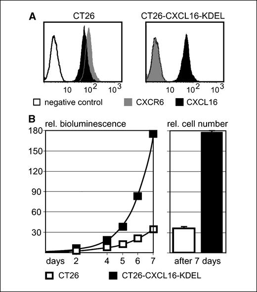The Chemokine Receptor CXCR6 and Its Ligand CXCL16 Are Expressed in ...