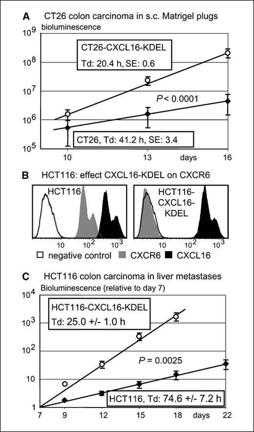 The Chemokine Receptor CXCR6 and Its Ligand CXCL16 Are Expressed in ...