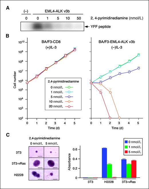 Identification of Novel Isoforms of the EML4-ALK Transforming Gene in ...
