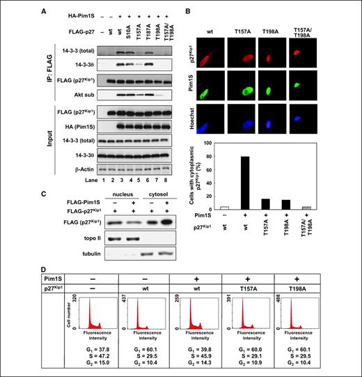 Pim Kinases Promote Cell Cycle Progression by Phosphorylating and Down ...