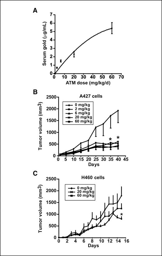 Atypical Protein Kinase Cι Expression and Aurothiomalate Sensitivity in ...