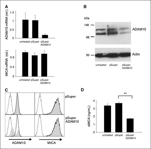 Tumor-Associated MICA Is Shed by ADAM Proteases | Cancer Research ...