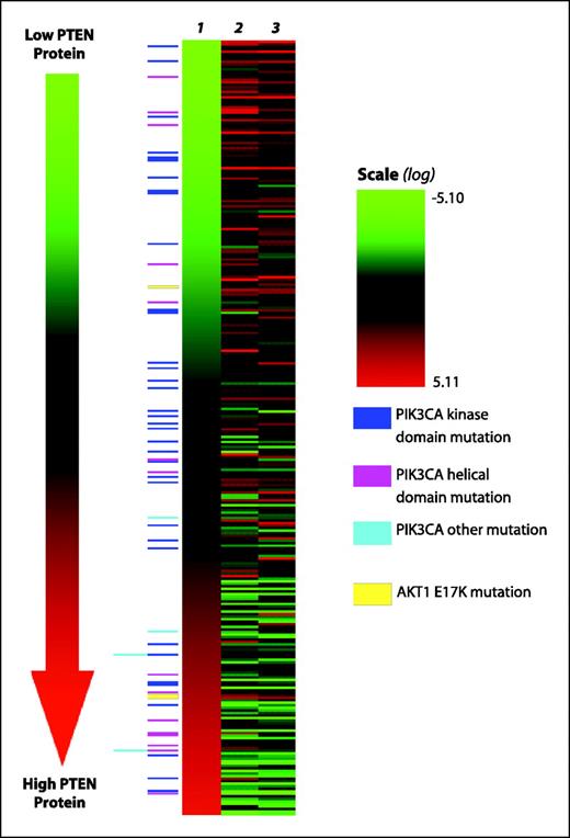 An Integrative Genomic and Proteomic Analysis of PIK3CA, PTEN, and AKT ...