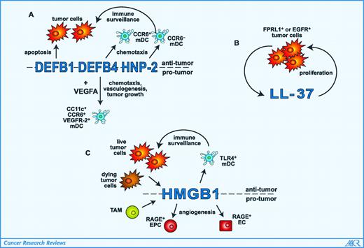 Tumors Sound the Alarmin(s) | Cancer Research | American Association ...