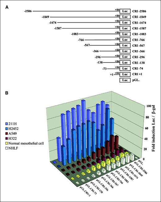 Malignant Pleural Mesothelioma–Targeted CREBBP/EP300 Inhibitory Protein ...