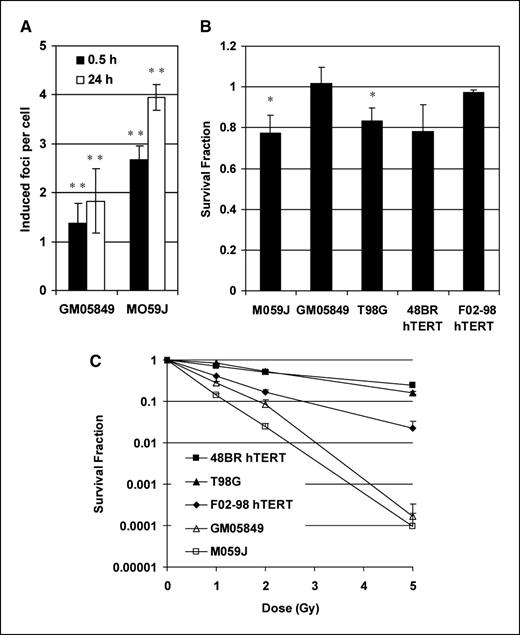 ATM Acts Downstream of ATR in the DNA Damage Response Signaling of ...