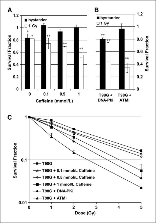 ATM Acts Downstream of ATR in the DNA Damage Response Signaling of ...