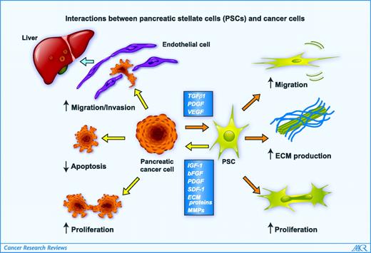 Pancreatic Stellate Cells and Pancreatic Cancer Cells: An Unholy ...