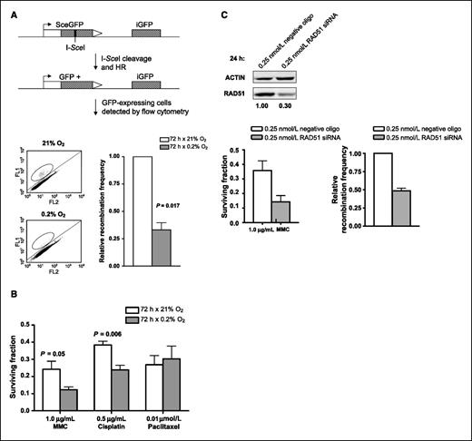 Chronic Hypoxia Decreases Synthesis of Homologous Recombination ...