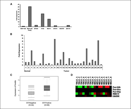 The Polarity Protein Par6 Induces Cell Proliferation and Is ...