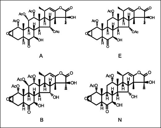 The Taccalonolides: Microtubule Stabilizers That Circumvent Clinically ...