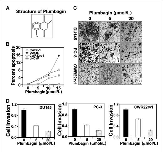 Plumbagin, a Medicinal Plant–Derived Naphthoquinone, Is a Novel ...