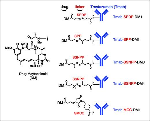 Targeting HER2-Positive Breast Cancer with Trastuzumab-DM1, an Antibody ...