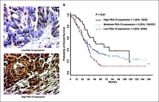 PEA-15 Induces Autophagy in Human Ovarian Cancer Cells and Is ...